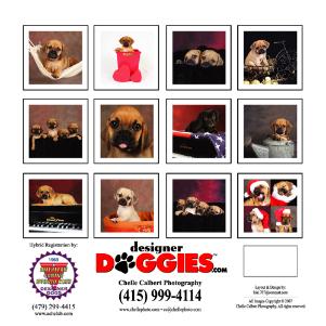 Puggle Book
